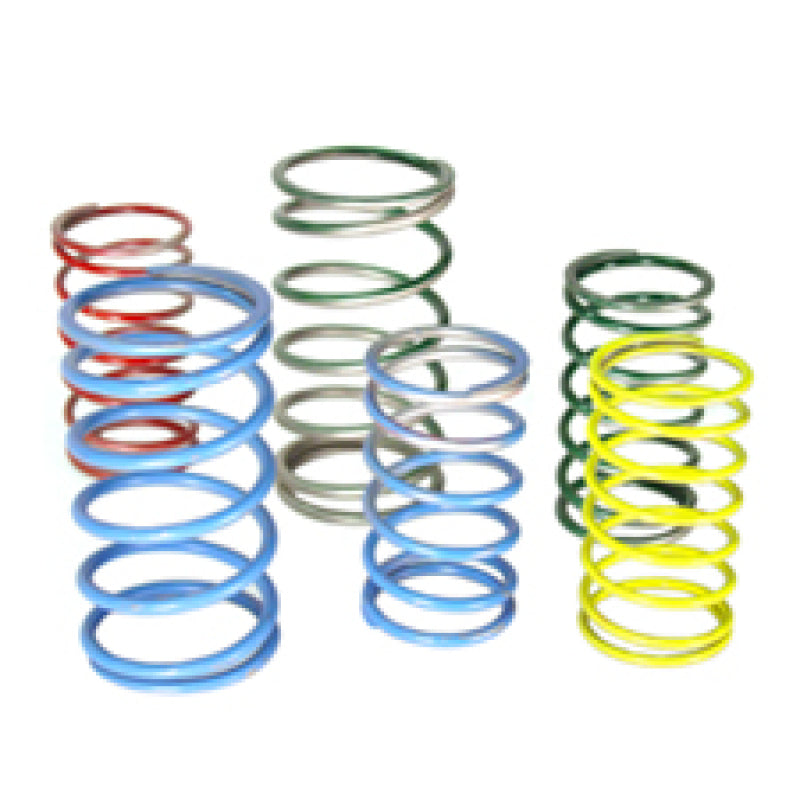 Tial Big Wastegate Spring (*Specify Spring Color*) – Muscle & Trucks